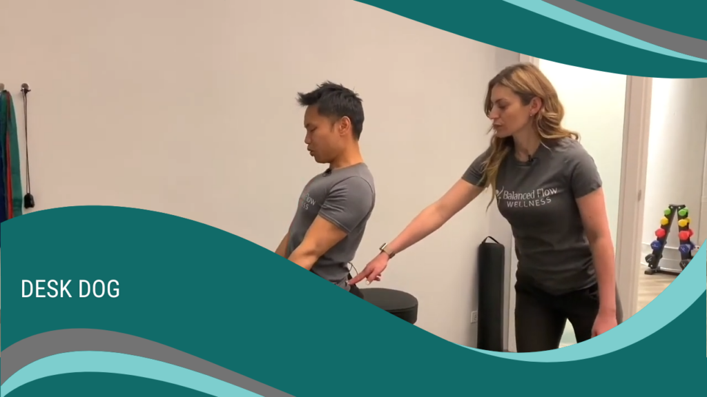Video Gallery | Balanced Flow Wellness